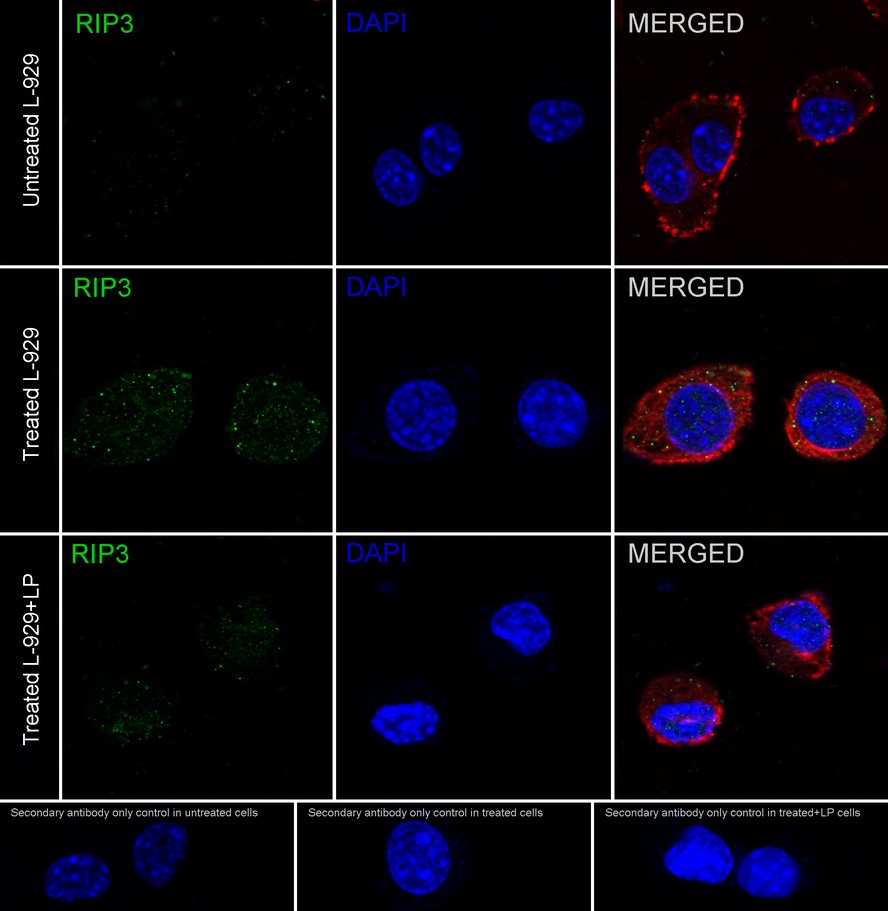 推动生命科学发展，优质单抗，多抗，蛋白，试剂盒| HUABIO华安生物